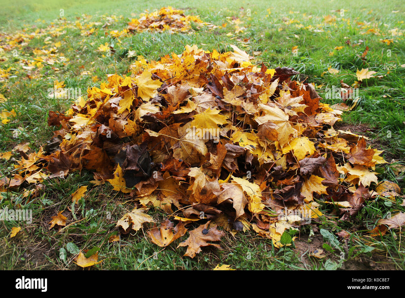 Haufen Laub im Herbst Park. Herbst Hintergrund Stockfotografie - Alamy