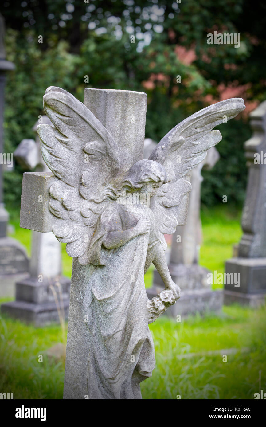 Grab nahaufnahme -Fotos und -Bildmaterial in hoher Auflösung – Alamy