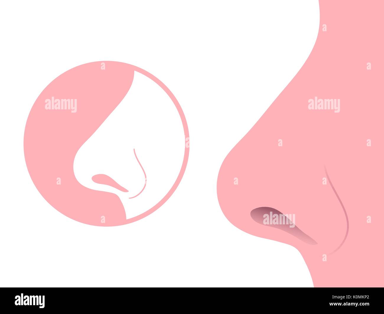 Nase piktogramm -Fotos und -Bildmaterial in hoher Auflösung – Alamy