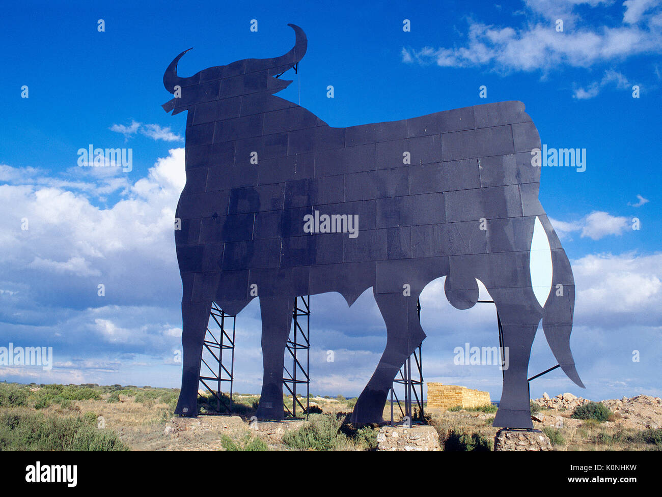 Osborne stier -Fotos und -Bildmaterial in hoher Auflösung – Alamy
