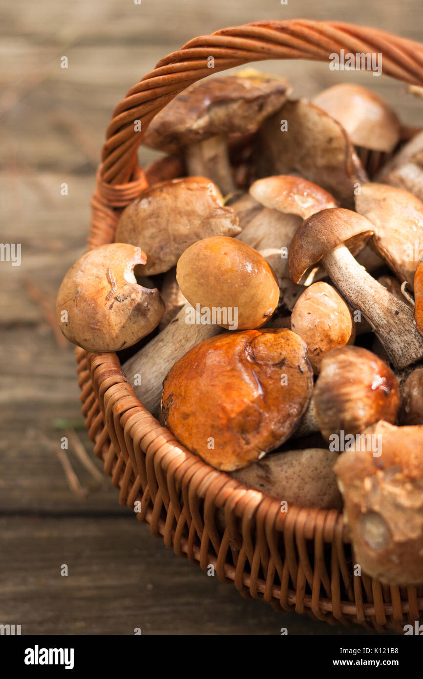 Wald essbare Pilze Leccinum scabrum In Weidenkorb auf alten Holztisch ...