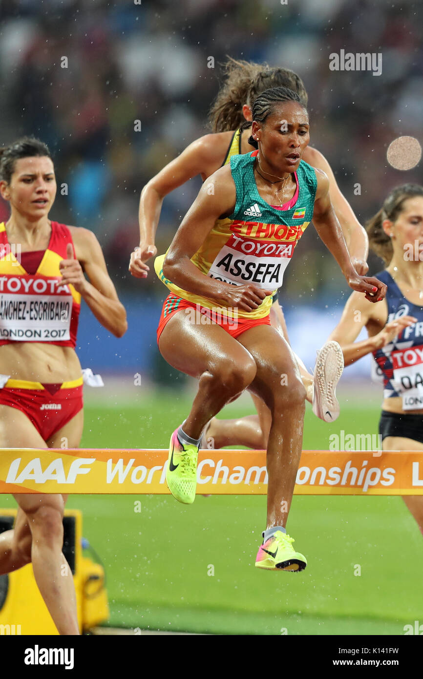 3000 Meter Hindernis Stockfotos und -bilder Kaufen - Alamy