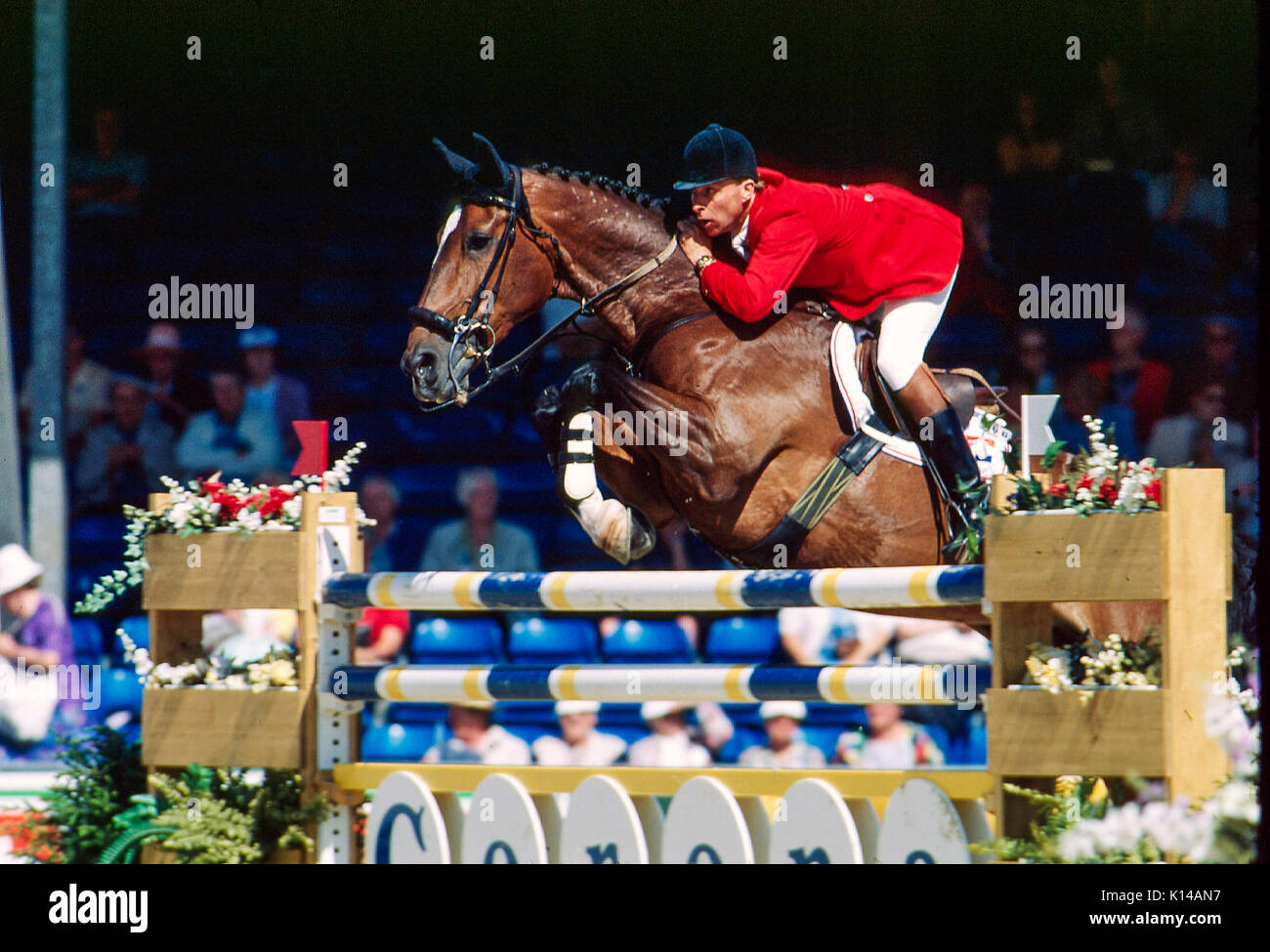 Bert romp -Fotos und -Bildmaterial in hoher Auflösung – Alamy