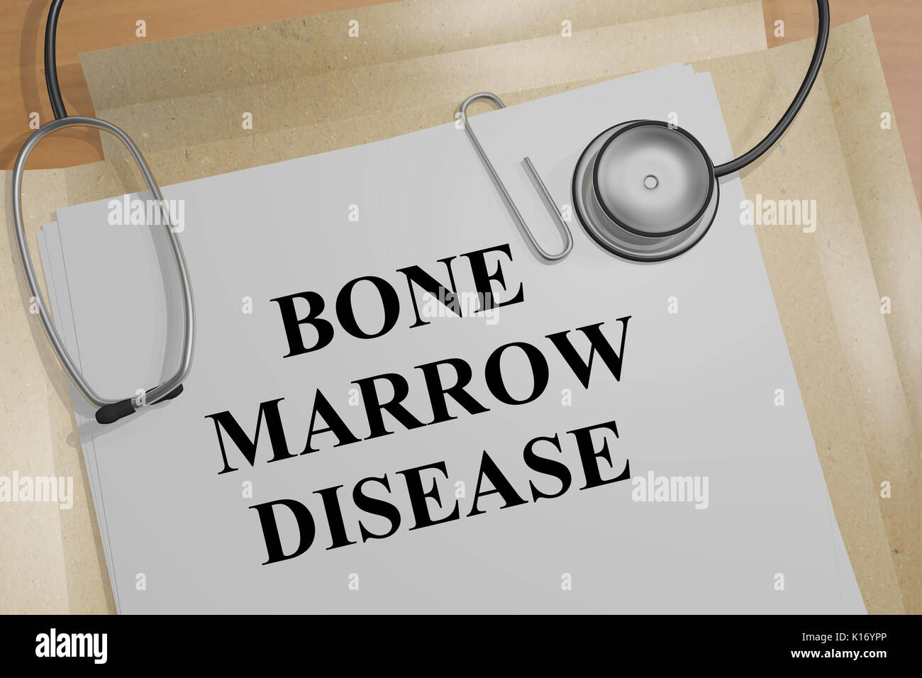 Rotes knochenmark mensch skelett -Fotos und -Bildmaterial in hoher ...