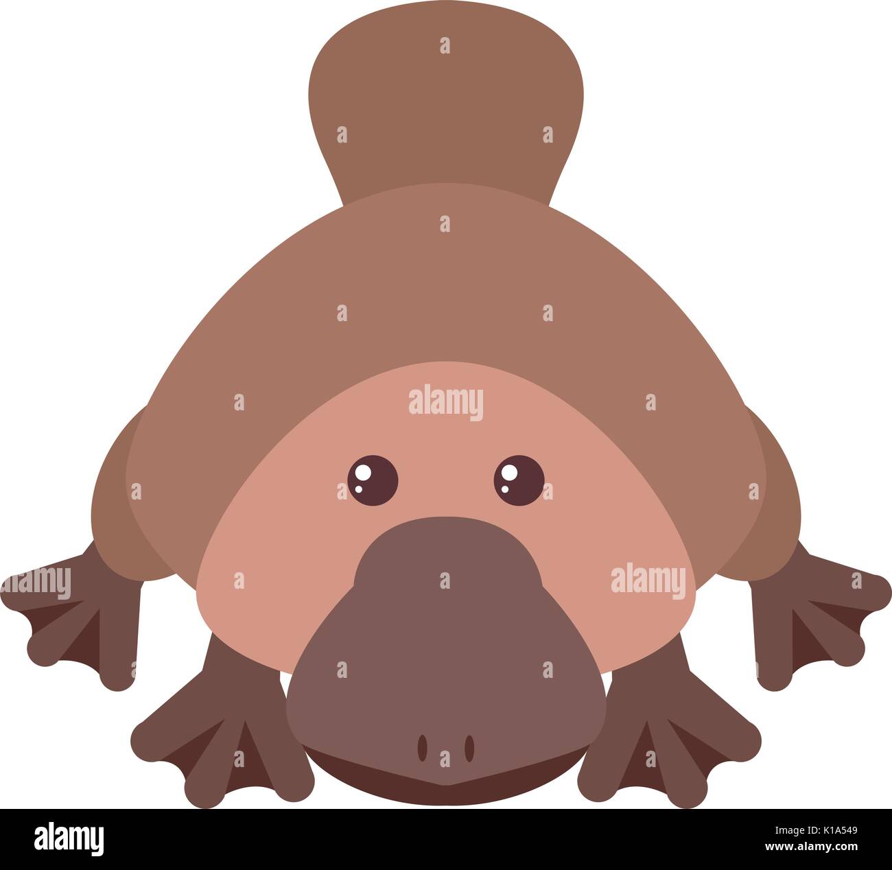 Platypus illustration Stock-Vektorgrafiken kaufen - Alamy