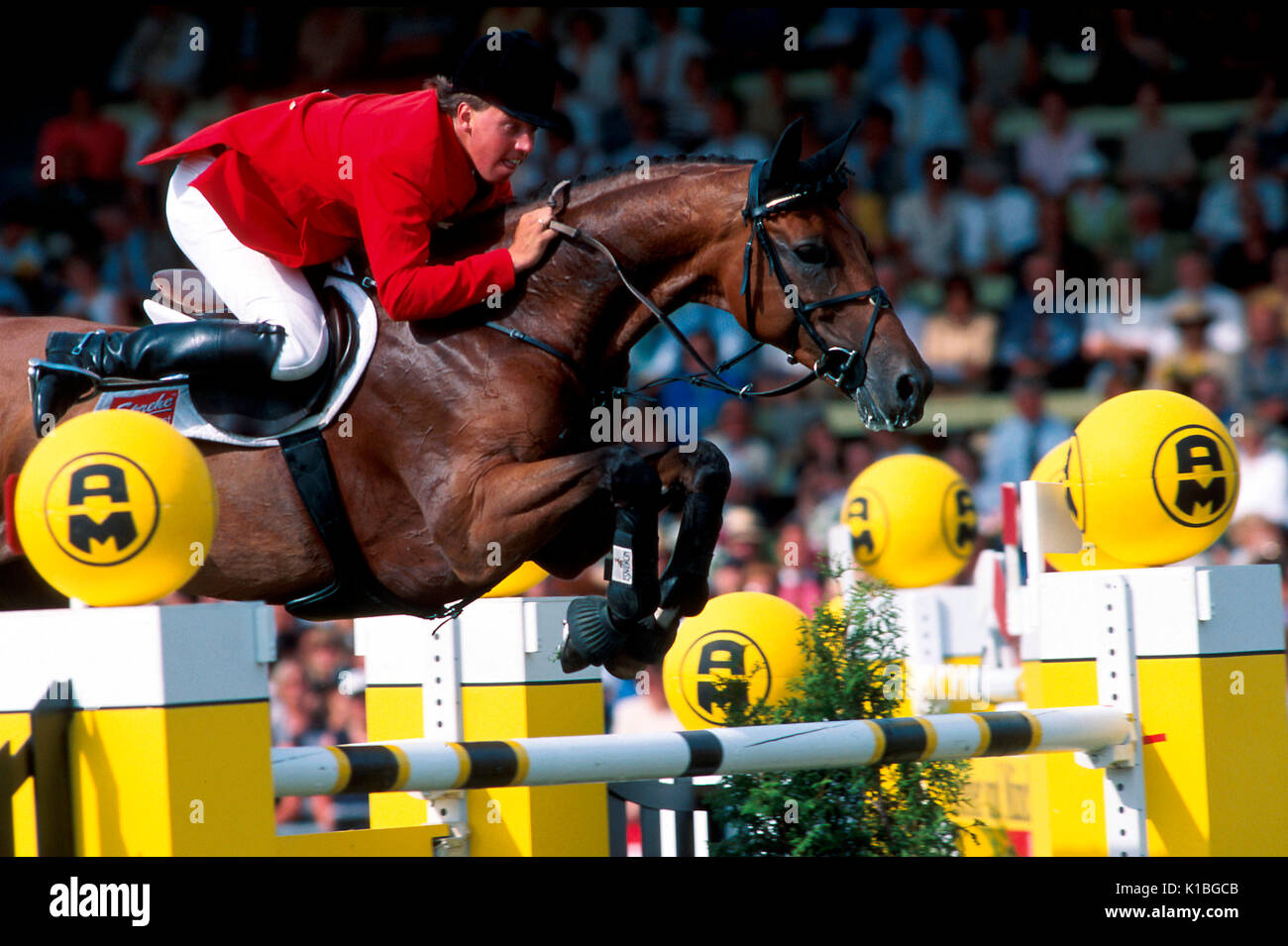 Markus beerbaum -Fotos und -Bildmaterial in hoher Auflösung – Alamy