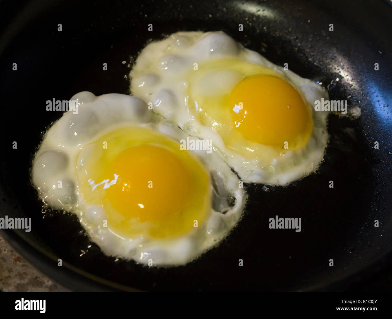 Zuhause gelegte eier -Fotos und -Bildmaterial in hoher Auflösung – Alamy