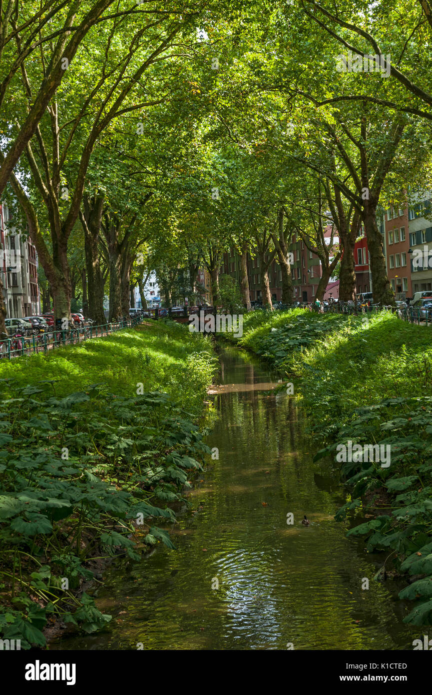 Der Fluss Düssel entlang der Karolinger Straße in Düsseldorf ("Dorf an ...