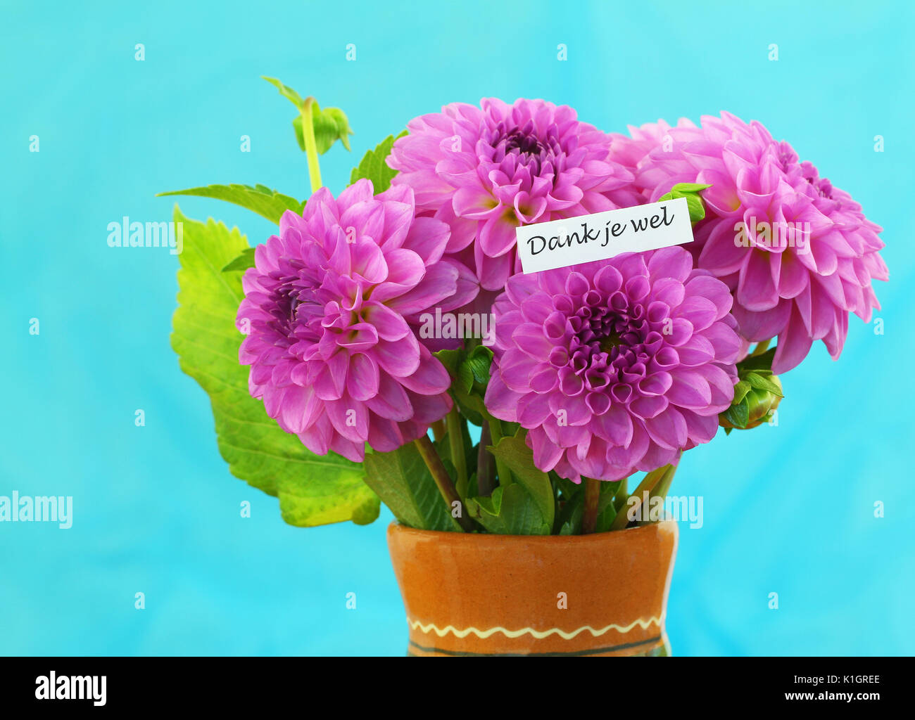 Dank je wel -Fotos und -Bildmaterial in hoher Auflösung – Alamy