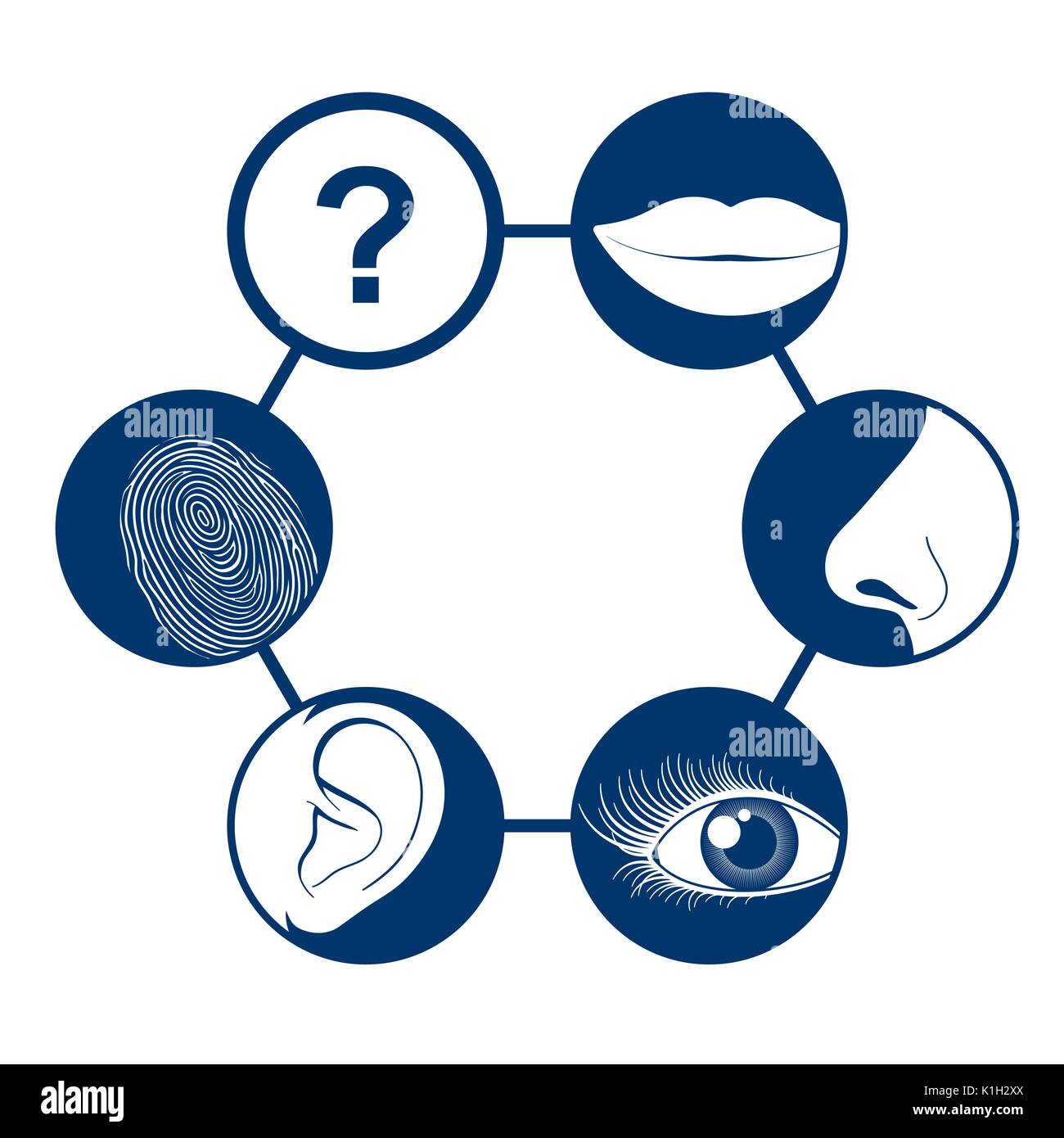 Sechs sinne Stock-Vektorgrafiken kaufen - Alamy