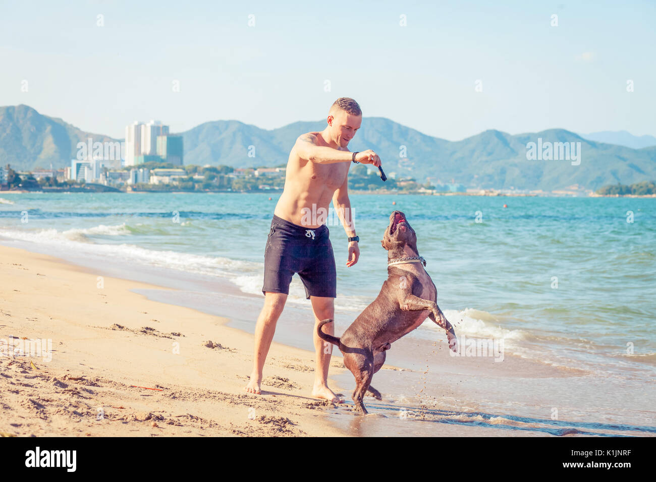 Mann, der am strand mit hund joggt Stockfotos und -bilder Kaufen - Alamy