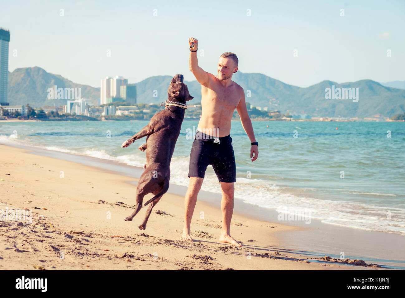 Junger mann spielt am strand mit seinem hund -Fotos und -Bildmaterial ...