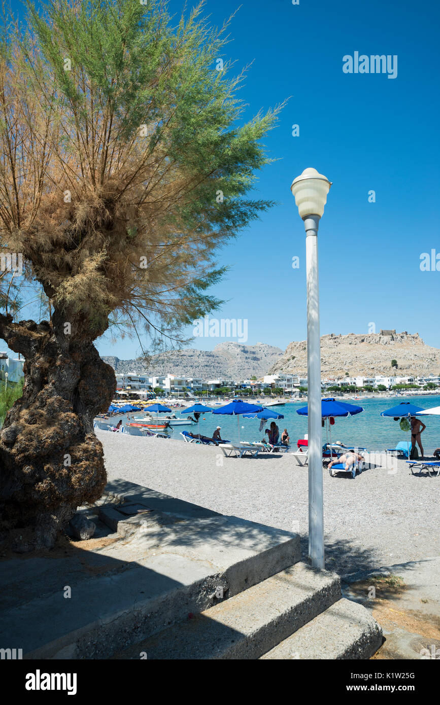 Charaki strand -Fotos und -Bildmaterial in hoher Auflösung – Alamy
