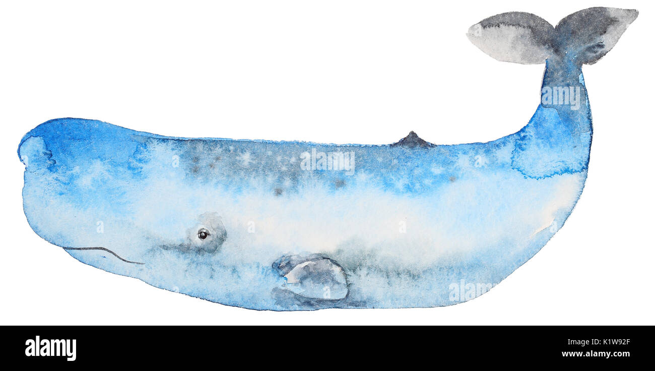 Aquarell wal -Fotos und -Bildmaterial in hoher Auflösung – Alamy