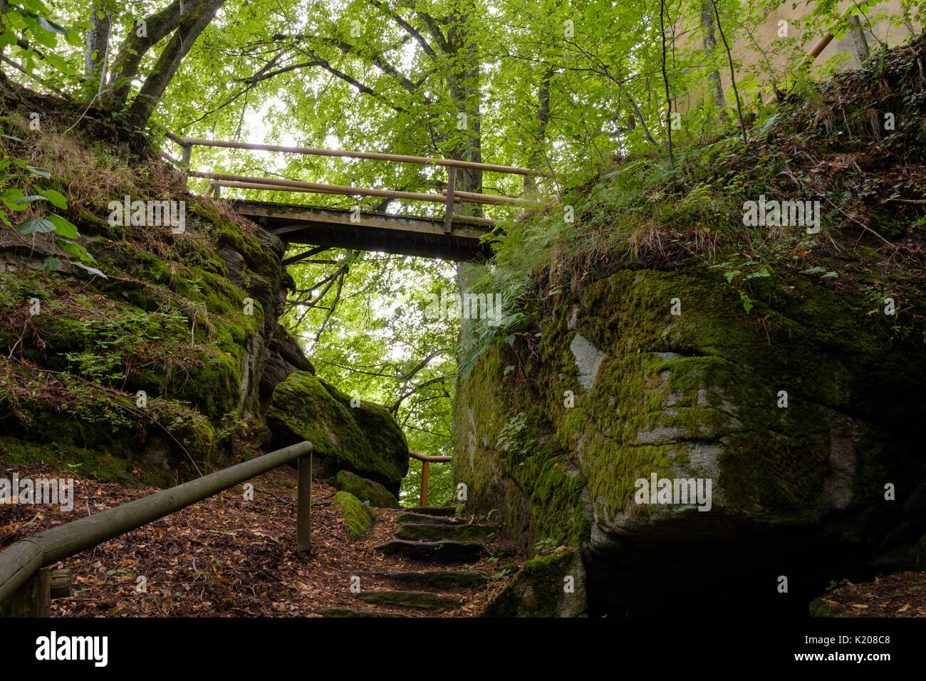 Naturschutzgebiet Schlosspark Falkenstein, Falkenstein, Bayerischer ...