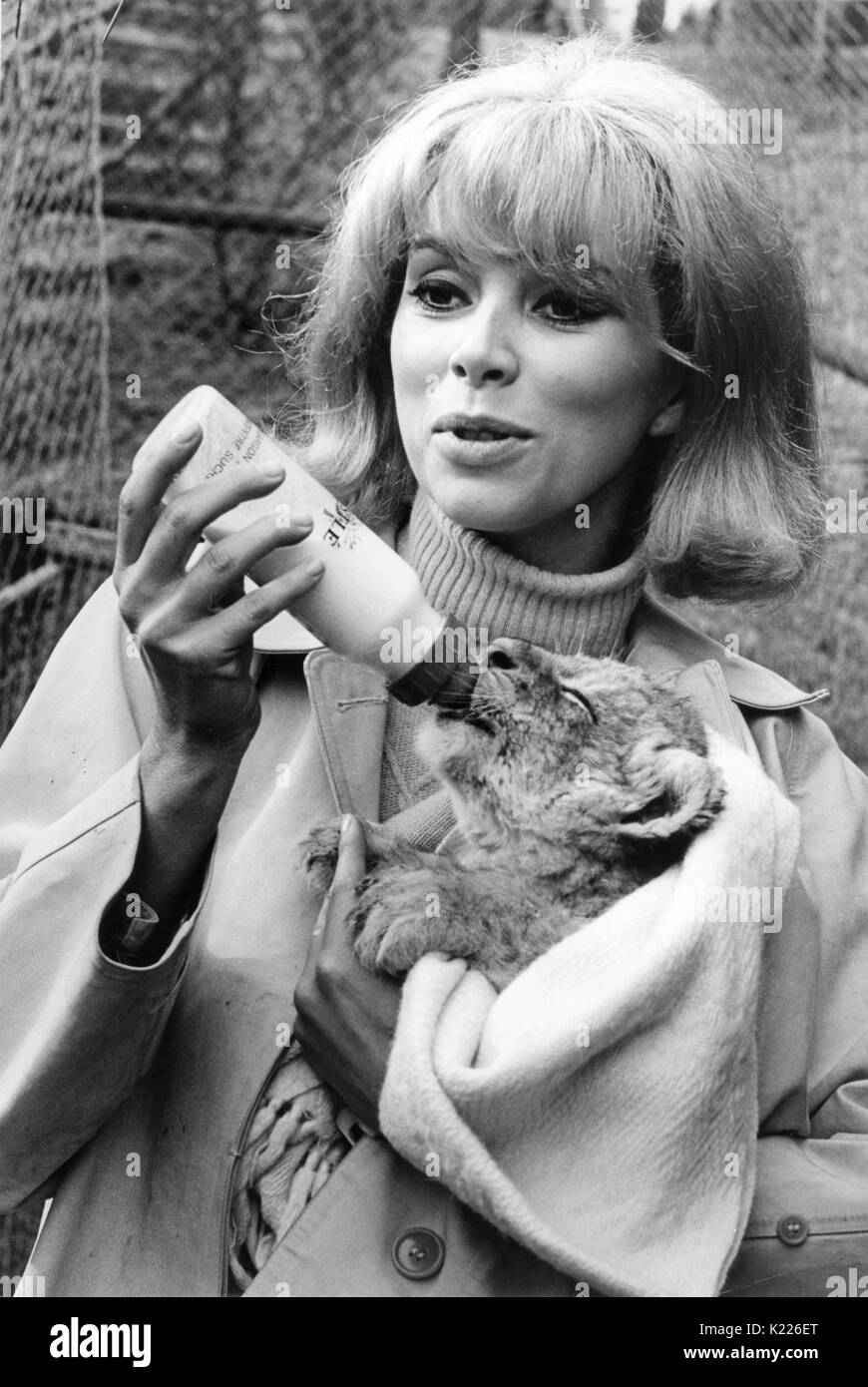 Die französische Schauspielerin Mireille Darc. c. 1968 Foto Michael Holtz Stockfotografie - Alamy