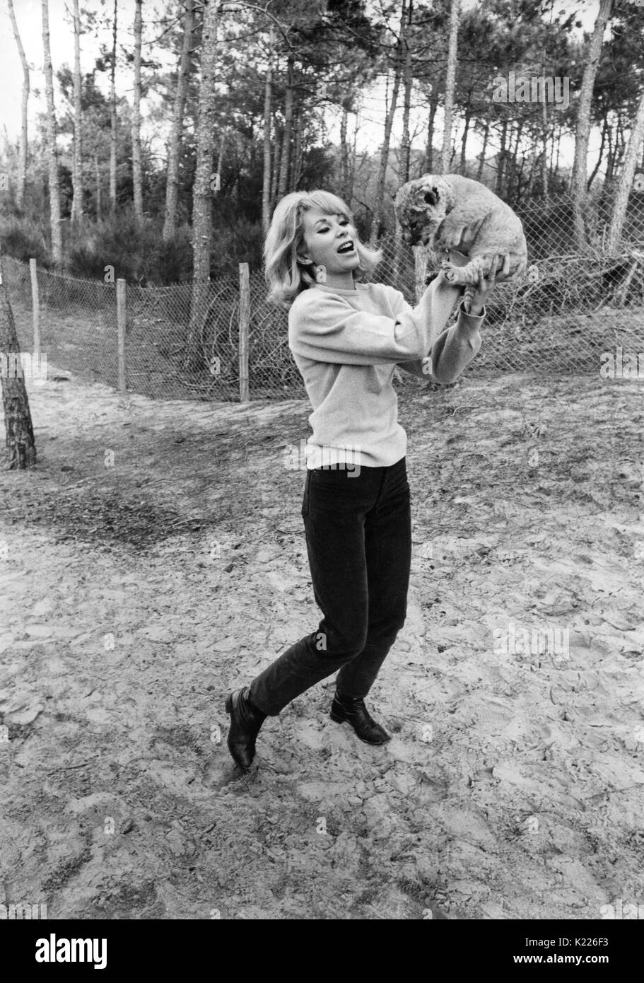 Die französische Schauspielerin Mireille Darc. c. 1968 Foto Michael Holtz Stockfotografie - Alamy