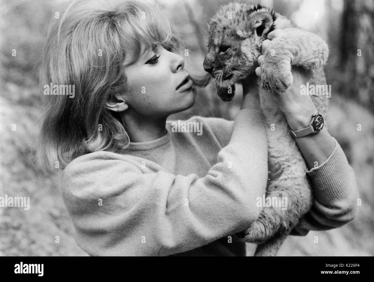 Mireille darc -Fotos und -Bildmaterial in hoher Auflösung – Alamy