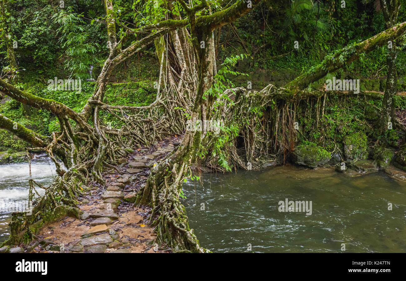 Ein fluss im wald -Fotos und -Bildmaterial in hoher Auflösung – Alamy