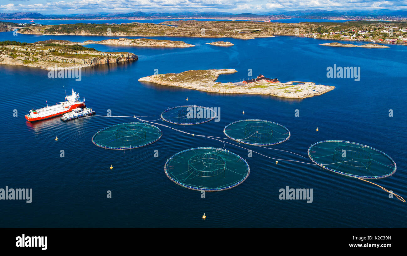 Salmon Farming Stockfotos und -bilder Kaufen - Alamy