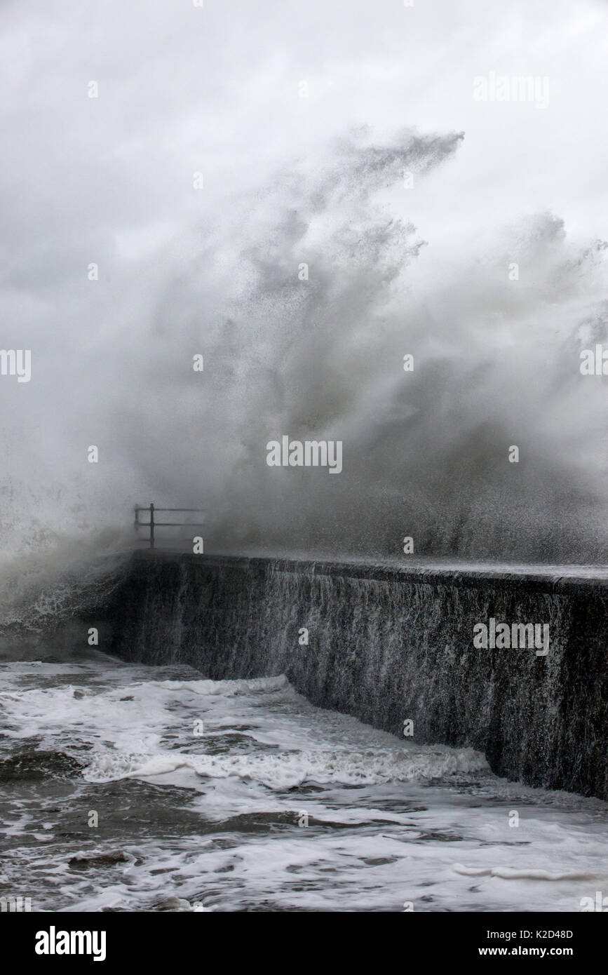 Large waves -Fotos und -Bildmaterial in hoher Auflösung – Alamy