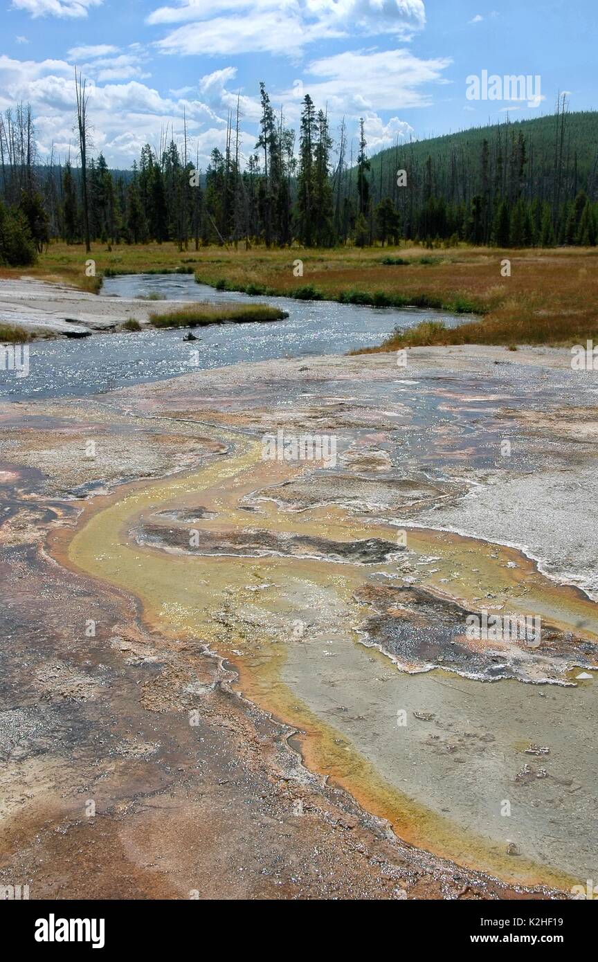 Heiße quellen bakterien -Fotos und -Bildmaterial in hoher Auflösung – Alamy