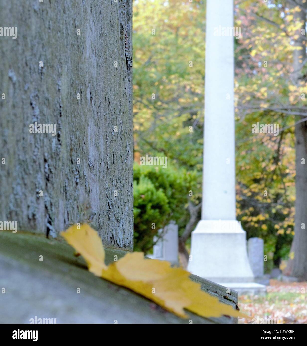 After life -Fotos und -Bildmaterial in hoher Auflösung – Alamy