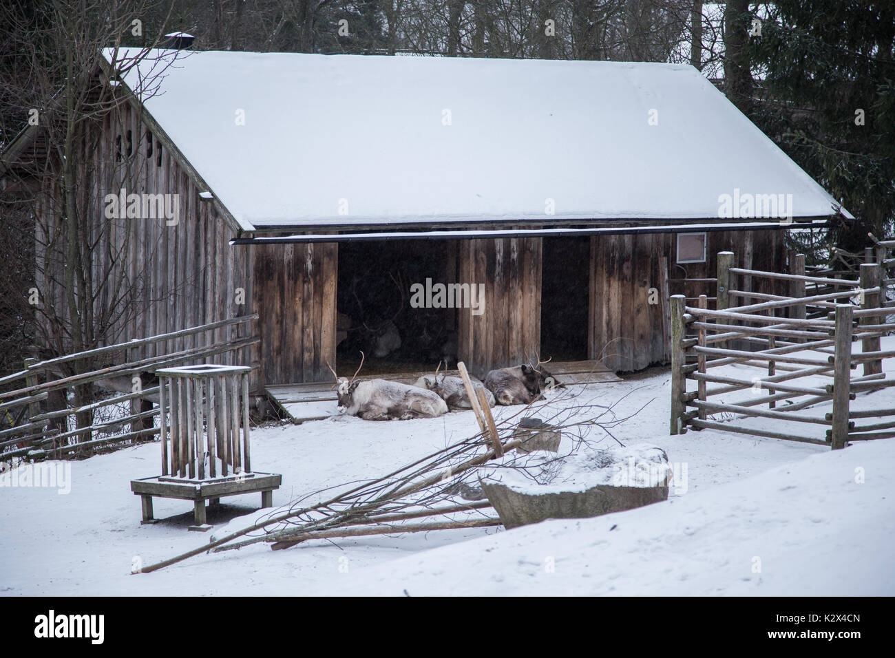 Stall spiel -Fotos und -Bildmaterial in hoher Auflösung – Alamy