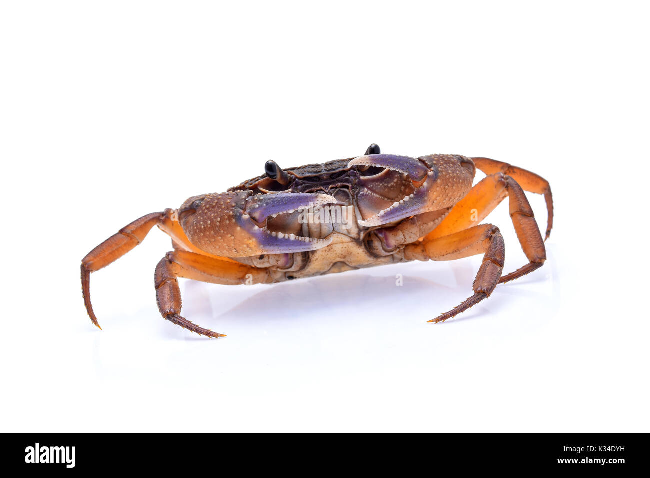Kanal strand Ausgeschnittene Stockfotos und -bilder - Alamy