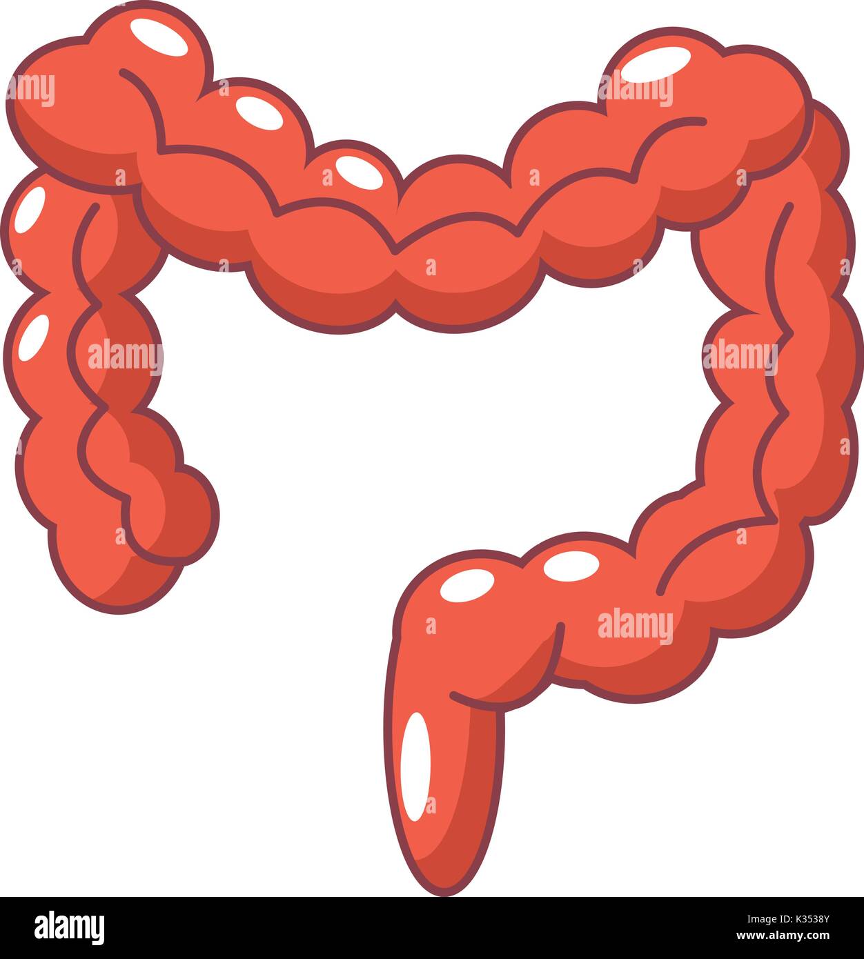 Sigmoid colon Stock-Vektorgrafiken kaufen - Seite 2 - Alamy