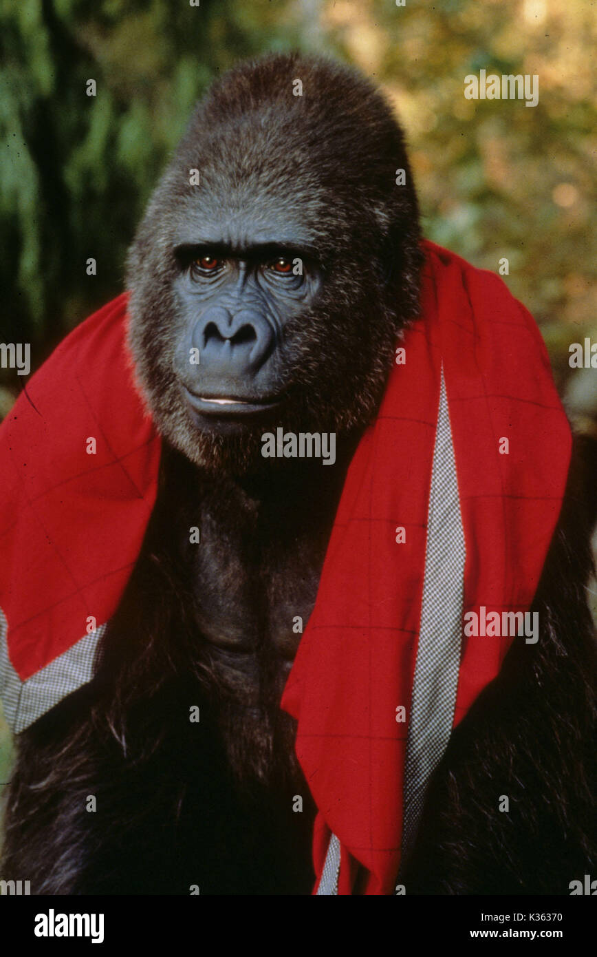 Kumpel film -Fotos und -Bildmaterial in hoher Auflösung – Alamy
