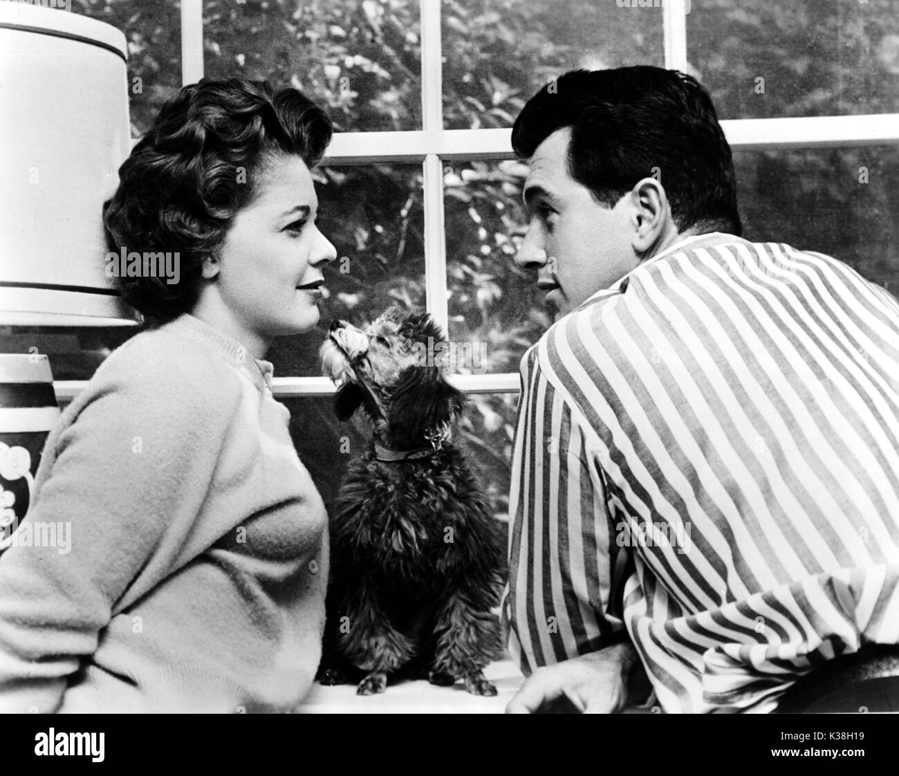 Phyllis Gates Stockfotos und -bilder Kaufen - Alamy