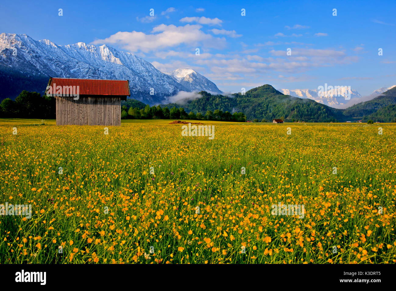 Murnauer moos mit zugspitze und estergebirge -Fotos und -Bildmaterial ...