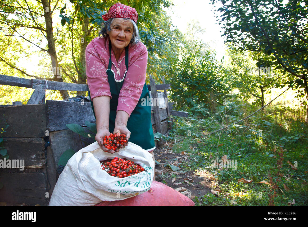 Mapuche chile -Fotos und -Bildmaterial in hoher Auflösung – Alamy