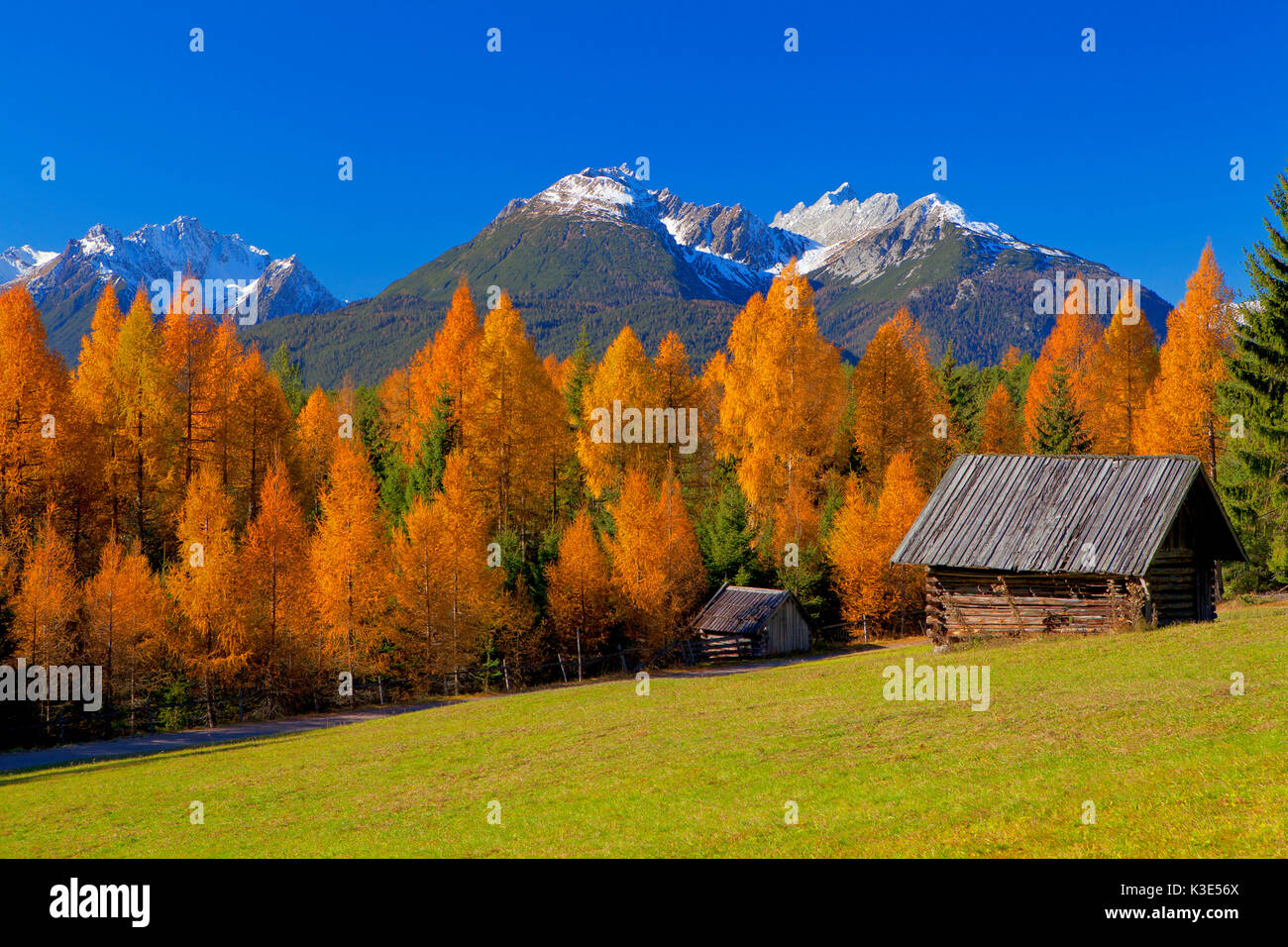Österreich, Tirol, Mieminger Plateau, Herbst in Obsteig Stockfotografie ...