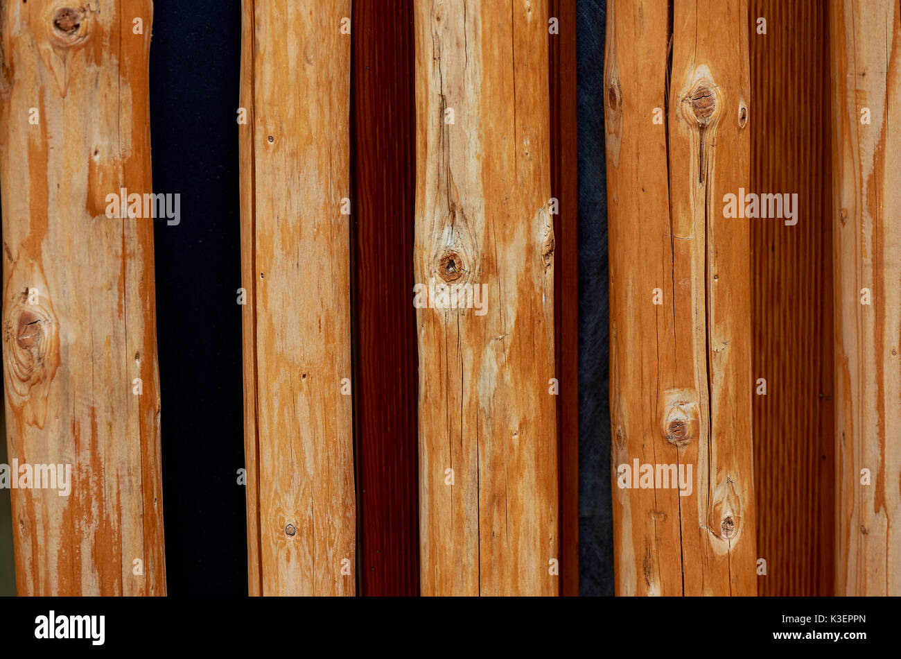 Textur, Pine Tree Branches, in einer einzigen Zeile angeordnet ...