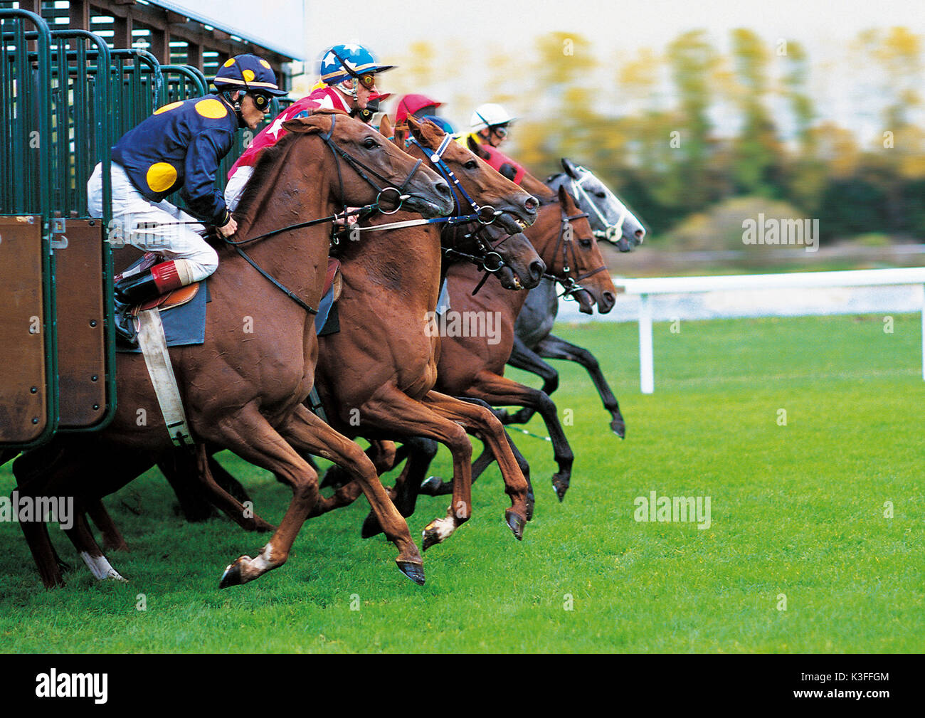 Rennpferde kommen aus der startbox -Fotos und -Bildmaterial in hoher ...