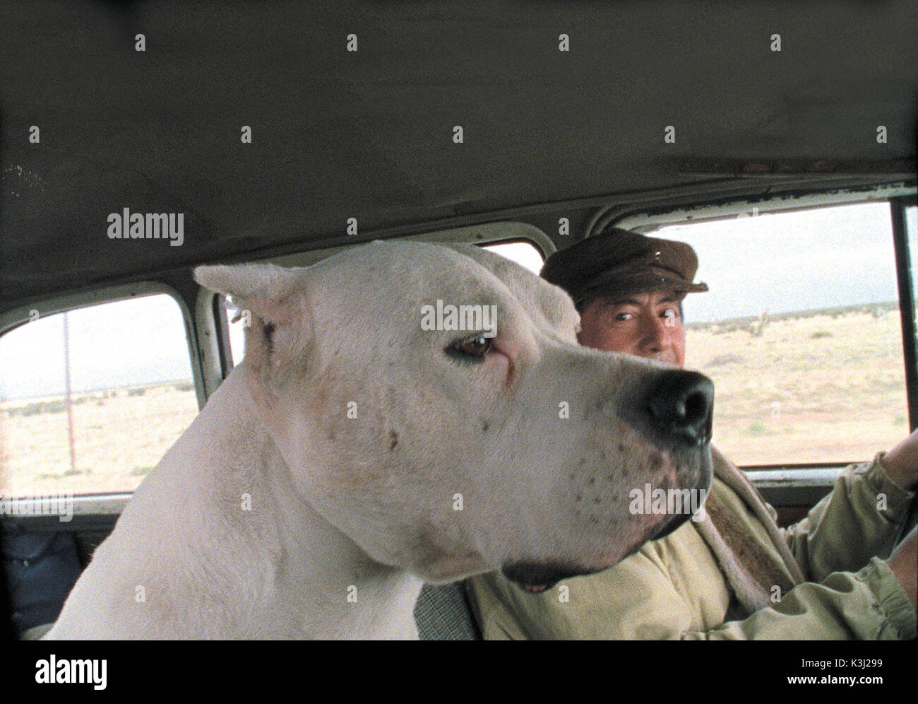 Juan perro -Fotos und -Bildmaterial in hoher Auflösung – Alamy
