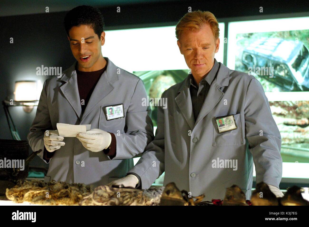 Csi miami david caruso -Fotos und -Bildmaterial in hoher Auflösung – Alamy