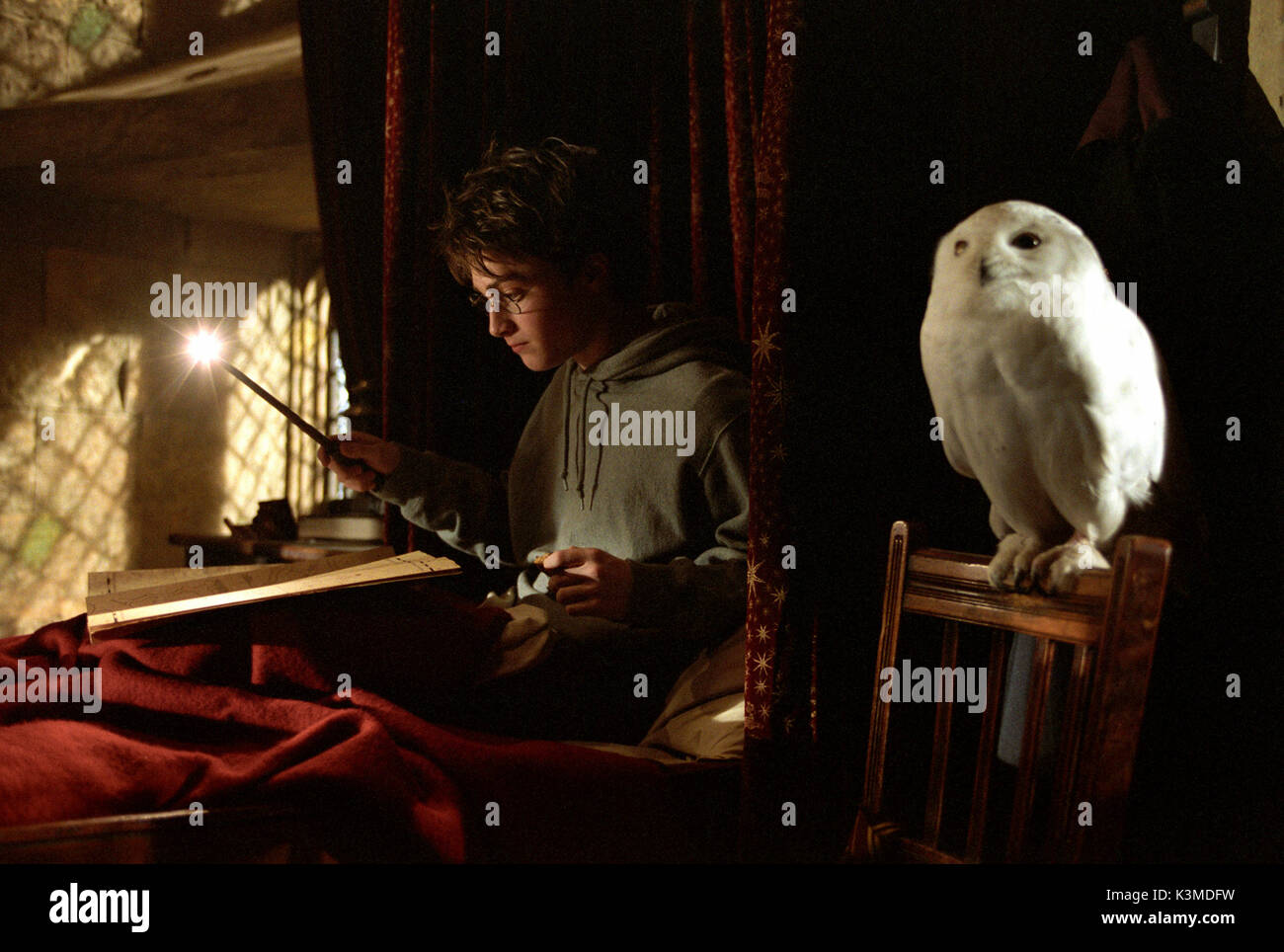 Harry Potter Hedwig Stockfotos und -bilder Kaufen - Alamy
