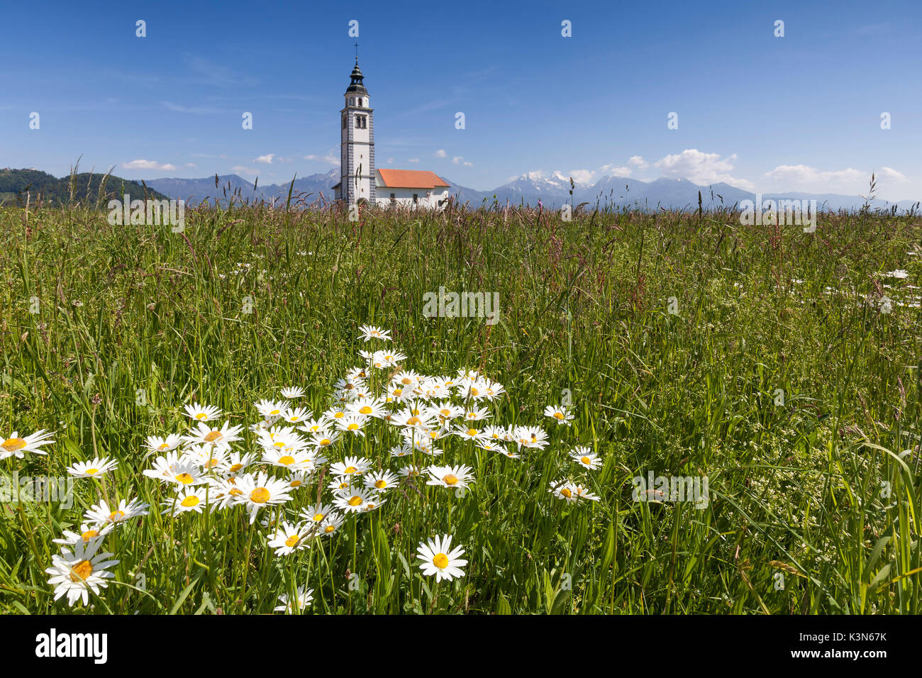 Heilige ursula -Fotos und -Bildmaterial in hoher Auflösung – Alamy