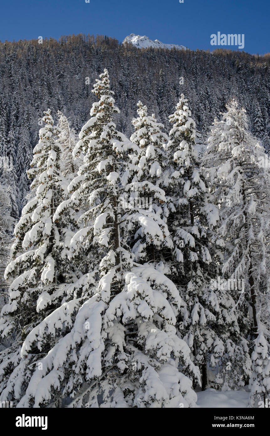 Val schnee -Fotos und -Bildmaterial in hoher Auflösung – Alamy