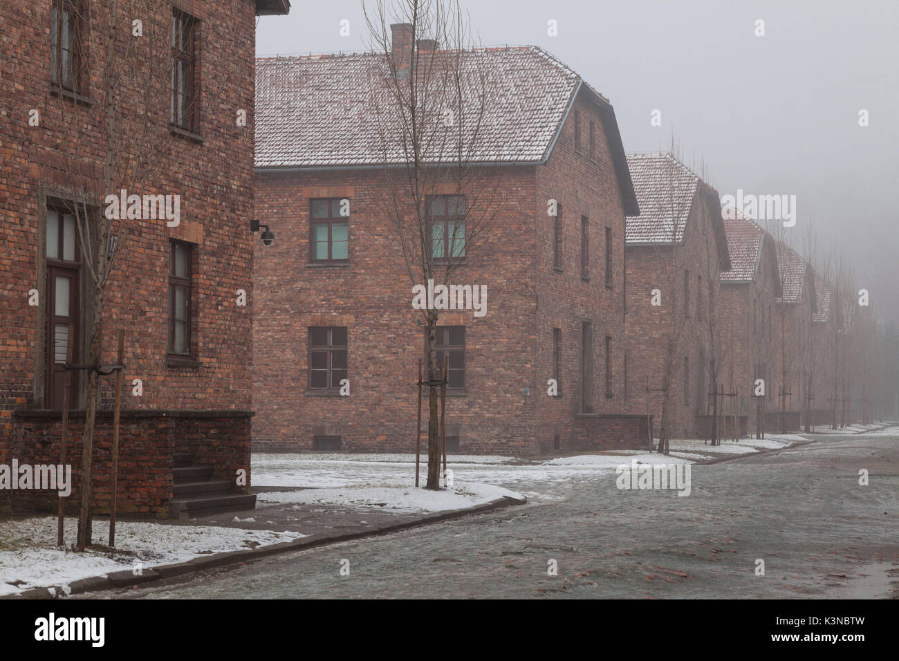 Auschwitz block -Fotos und -Bildmaterial in hoher Auflösung – Alamy