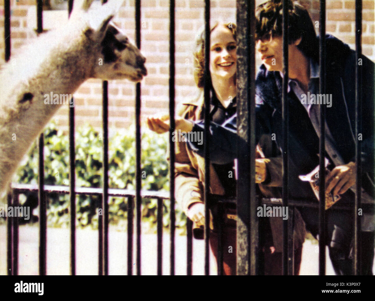 Robby benson glynnis oconnor -Fotos und -Bildmaterial in hoher Auflösung – Alamy