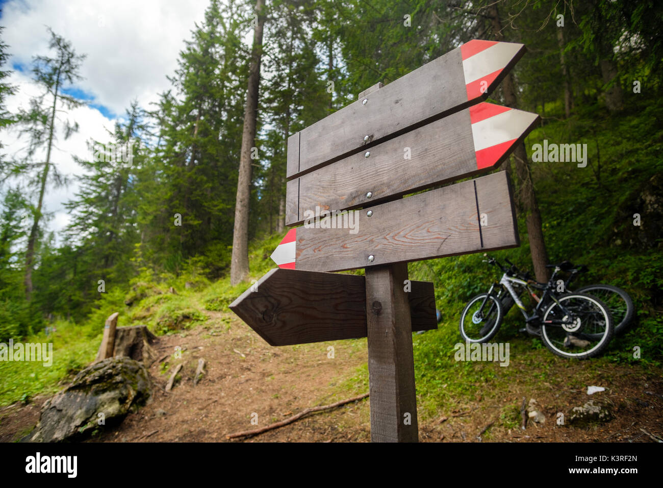 Schild wald -Fotos und -Bildmaterial in hoher Auflösung – Alamy