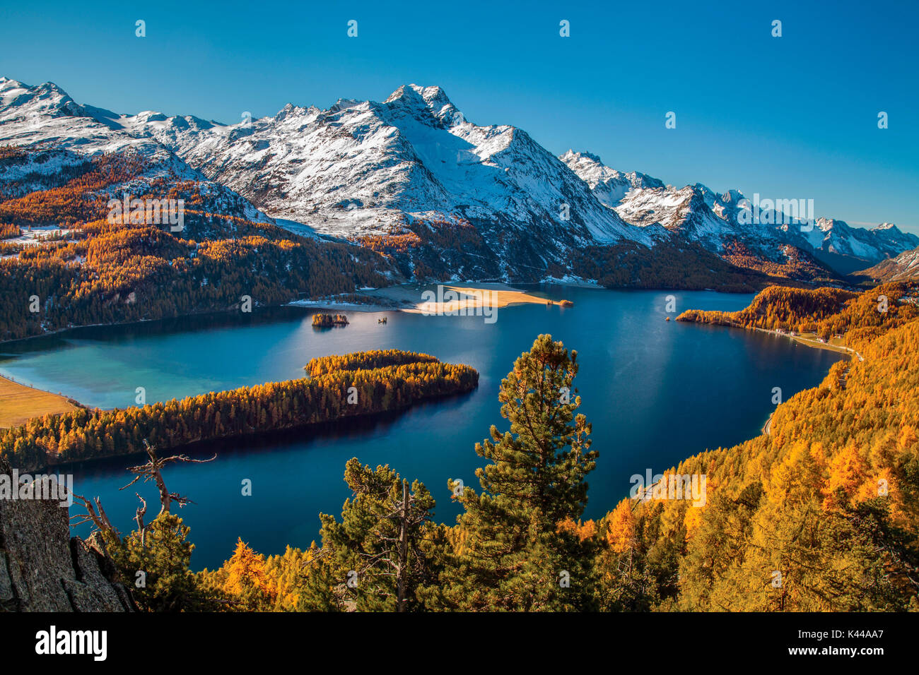 Schweiz, Engadin, Sils Silvaplana See, an der See, im Herbst. Margna ...