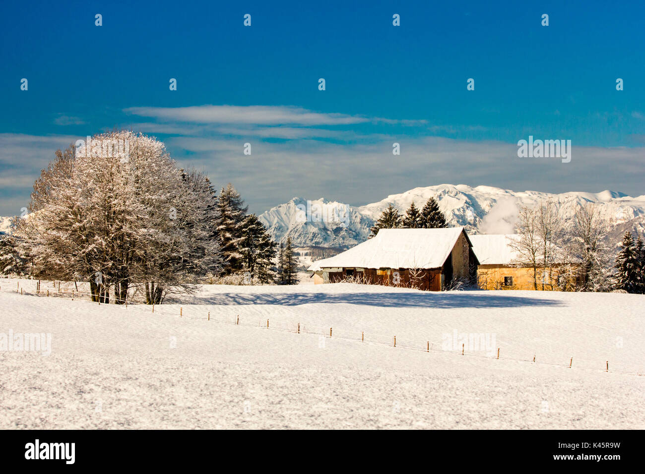 Stall spaziergang -Fotos und -Bildmaterial in hoher Auflösung – Alamy
