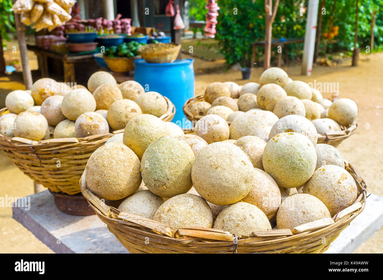 Elephamt apfel -Fotos und -Bildmaterial in hoher Auflösung – Alamy