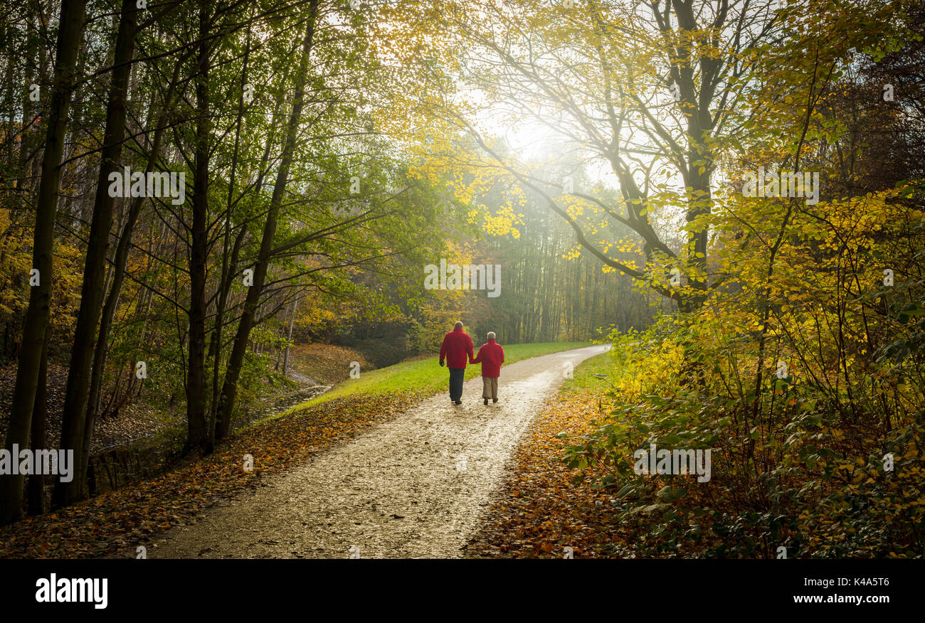 Holziger stolz -Fotos und -Bildmaterial in hoher Auflösung – Alamy