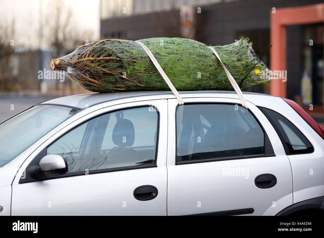 Dach des autos -Fotos und -Bildmaterial in hoher Auflösung – Alamy